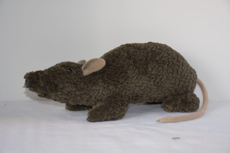 Gallery | The Highland Rat